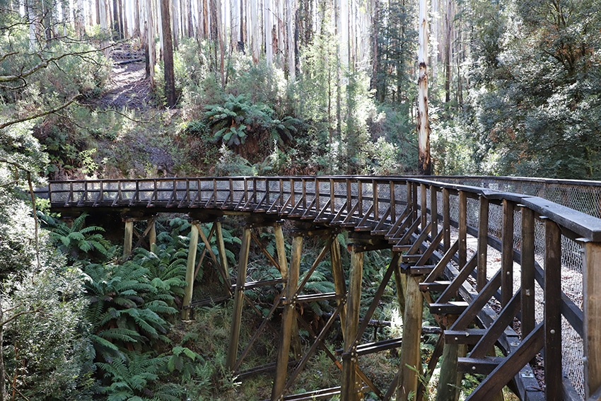 Naturally in Murrindindi - DiscoverDindi