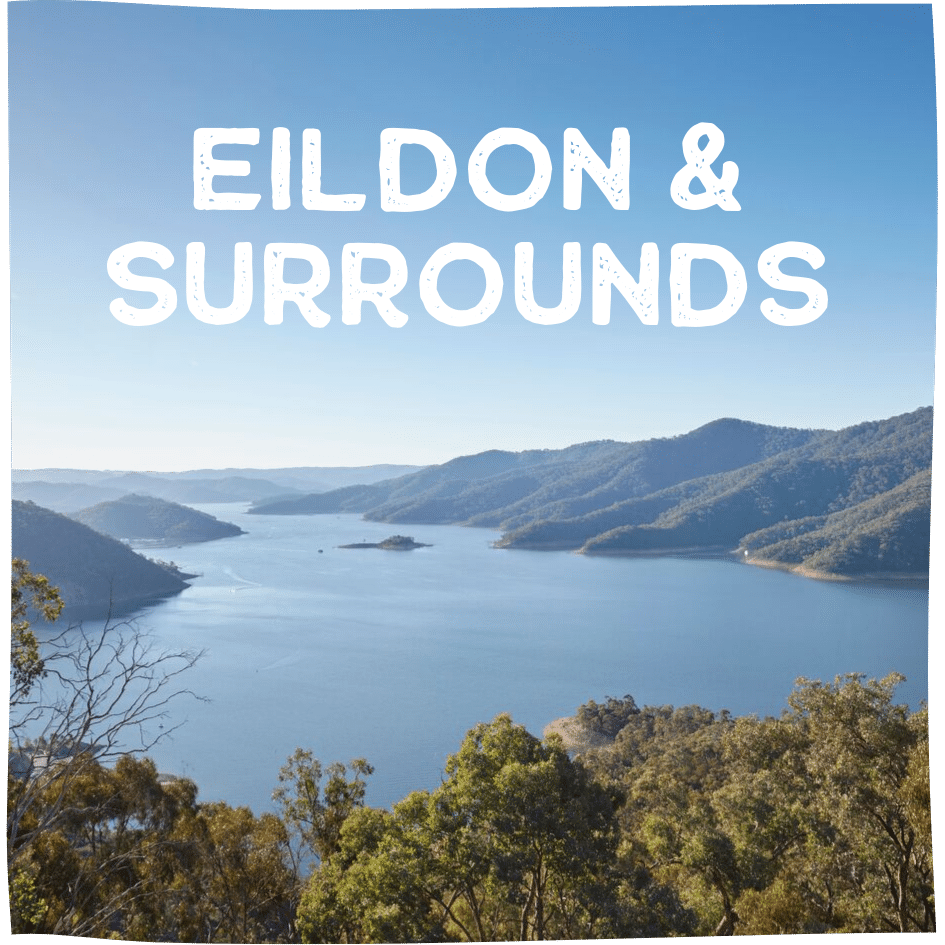 Homepage - Discover Dindi - DiscoverDindi