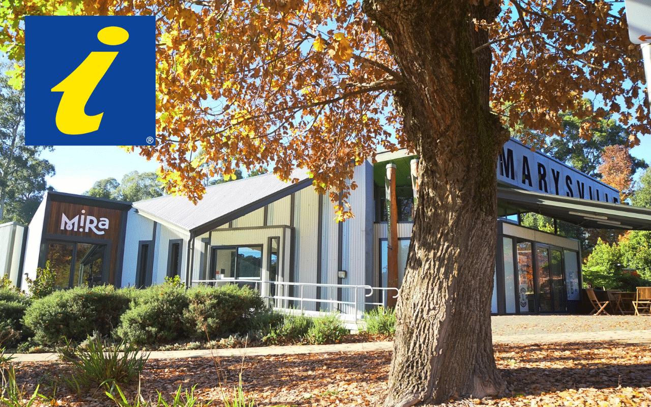 Visitor Information - DiscoverDindi