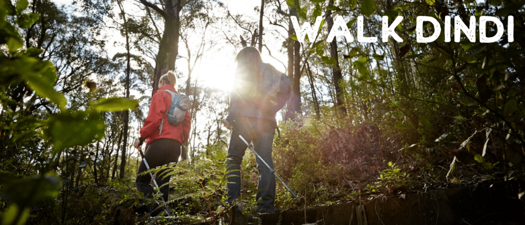 Walk Dindi - DiscoverDindi