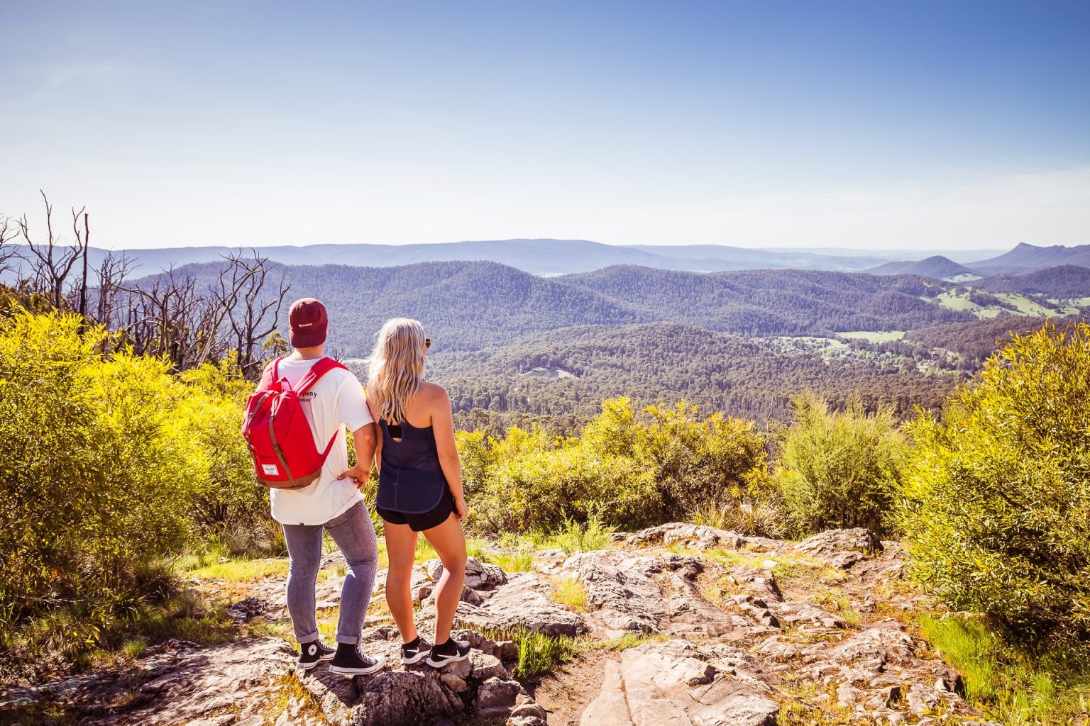 Walk Dindi - DiscoverDindi