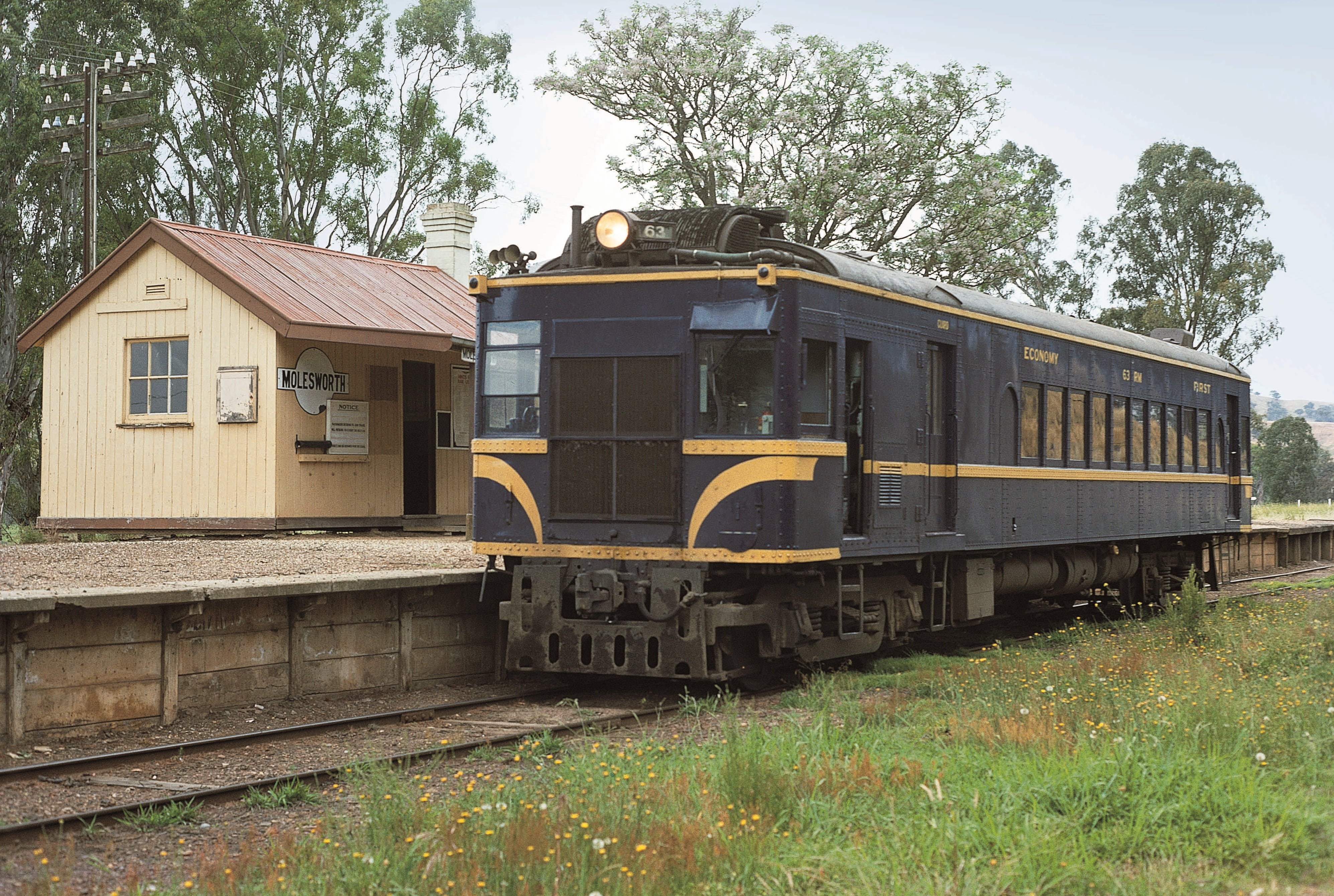 Molesworth Station - DiscoverDindi