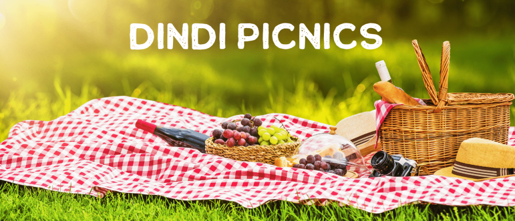 Dindi Picnics - DiscoverDindi