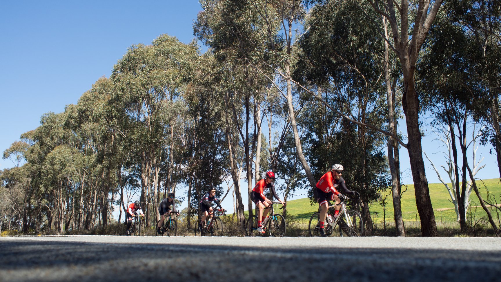 Into the Ranges - DiscoverDindi