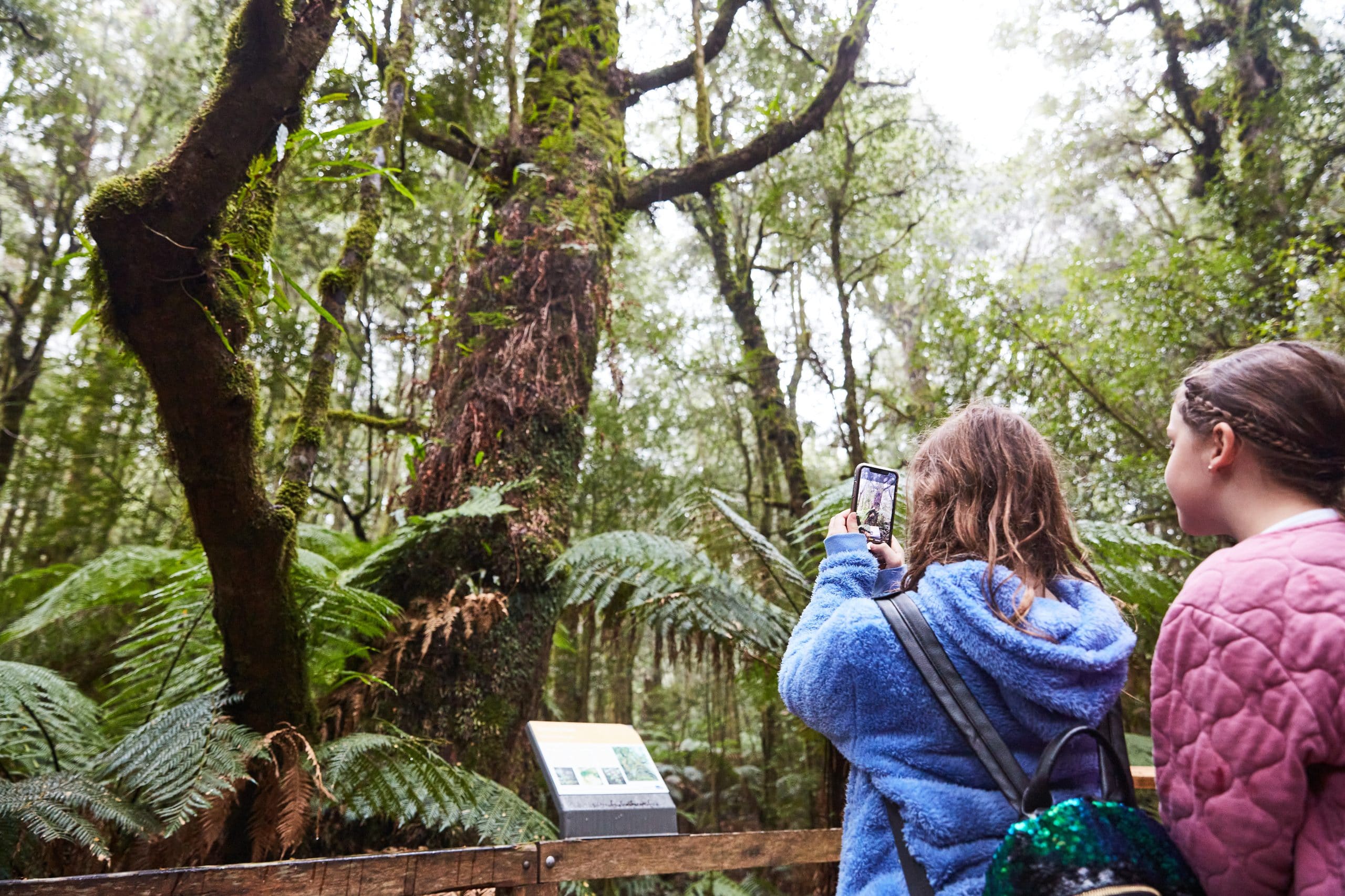 Naturally in Murrindindi - DiscoverDindi