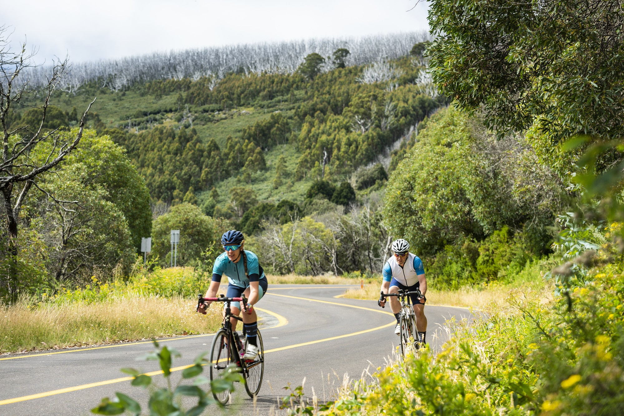 Ride Dindi - DiscoverDindi