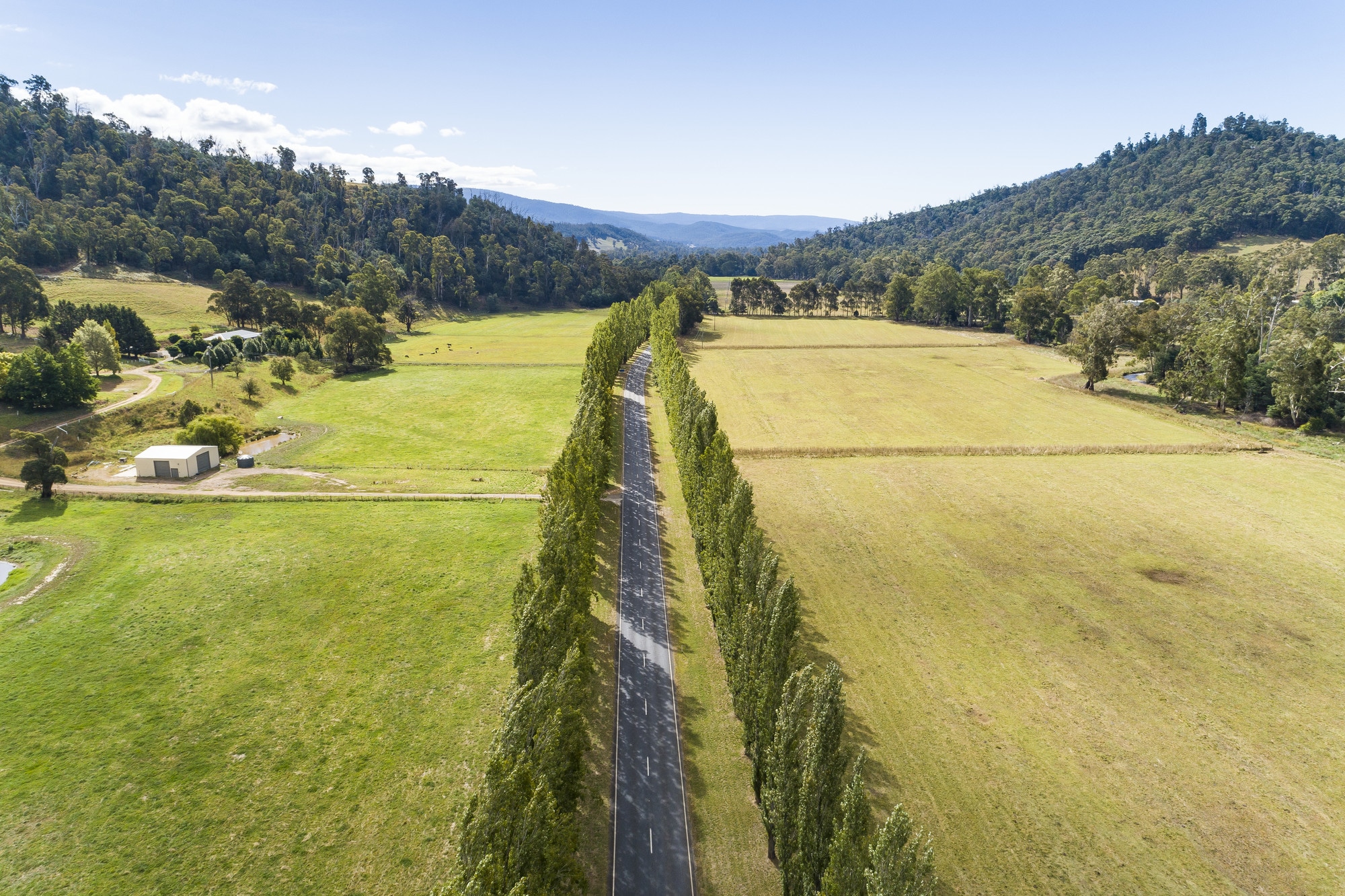 The Triangle - DiscoverDindi