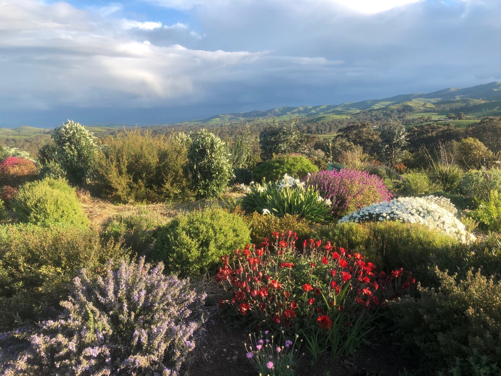 Better Out Than In - Yea & Surrounds for Kids - DiscoverDindi