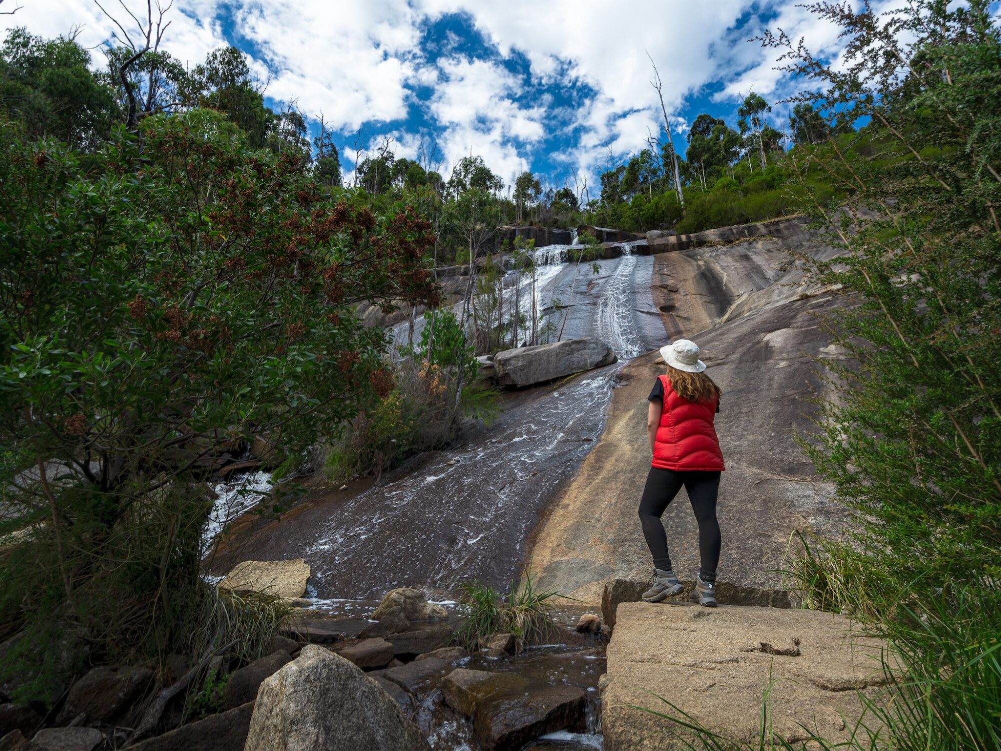 Walk Dindi - DiscoverDindi