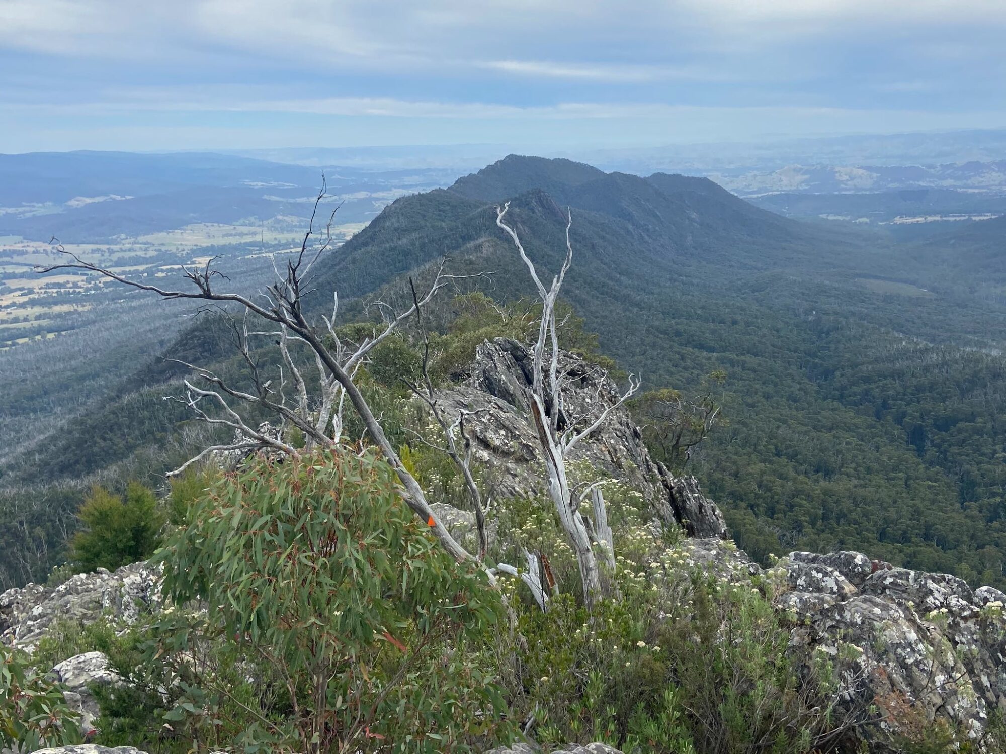 Walk Dindi - DiscoverDindi